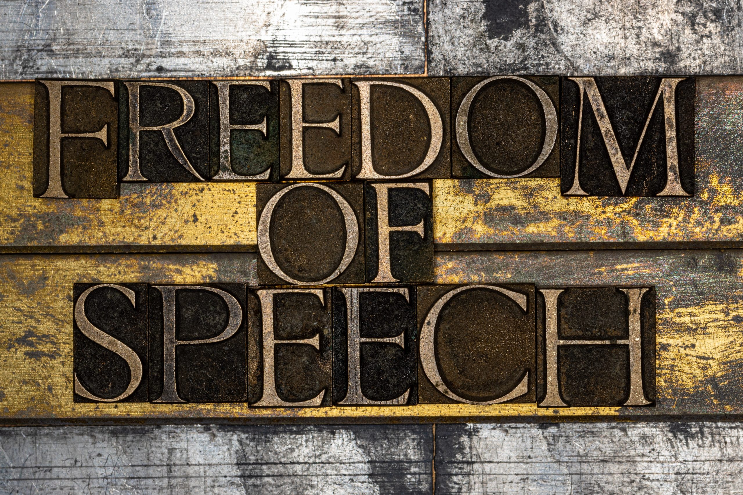 Defending Free Speech in the COVID-19 Era: Challenges and Successes ...
