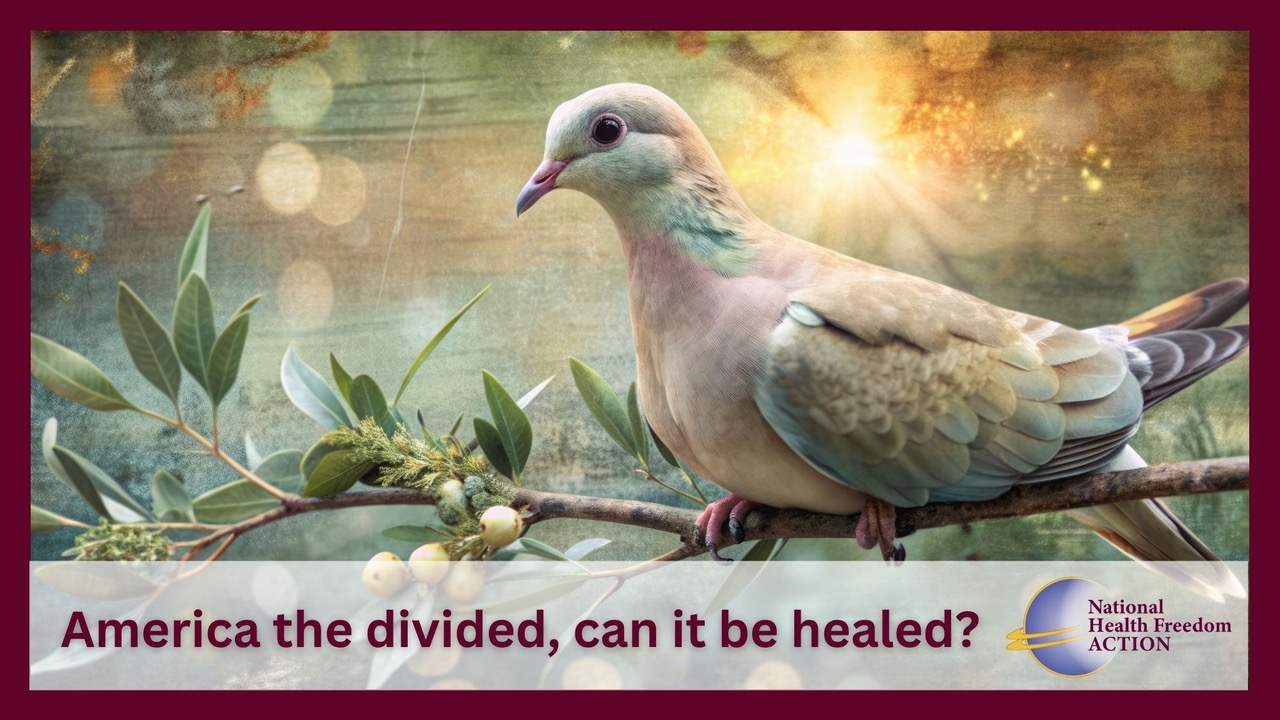 America the divided, can it be healed? - National Health Freedom Action